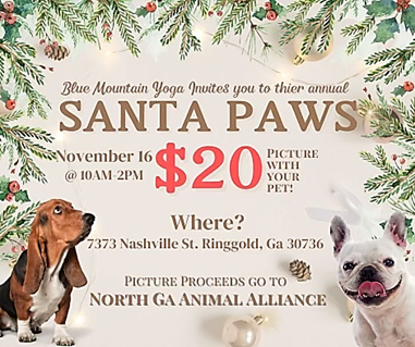Get your pets' pictures taken at Santa Paws...